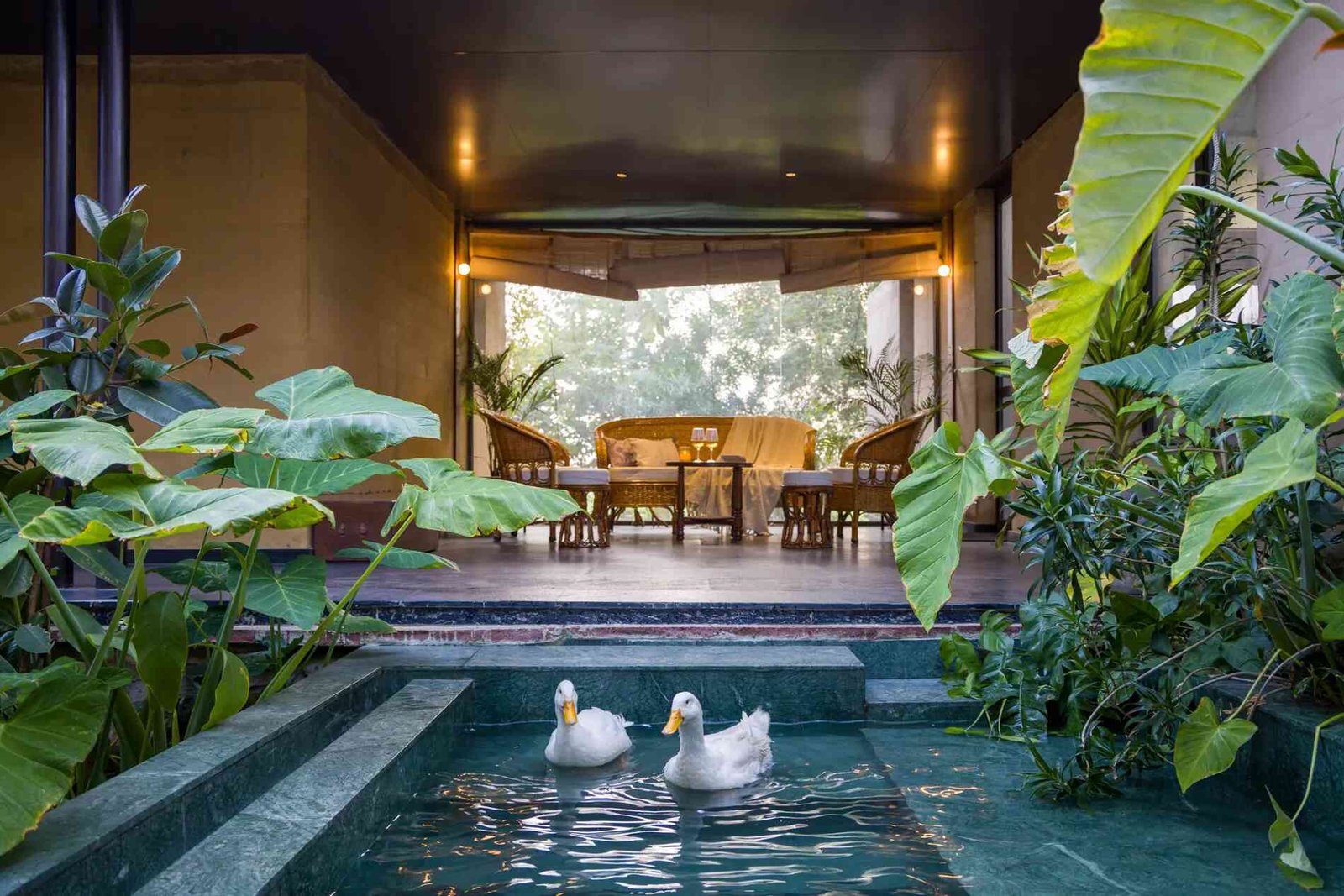 Hari Bagh Farmhouse, Devgaon- A Pet-friendly Organic Farm With Art Nook ...